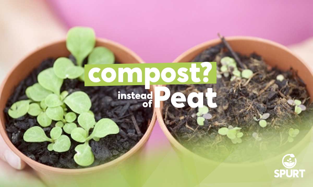 Why compost instead of peat - Spurt